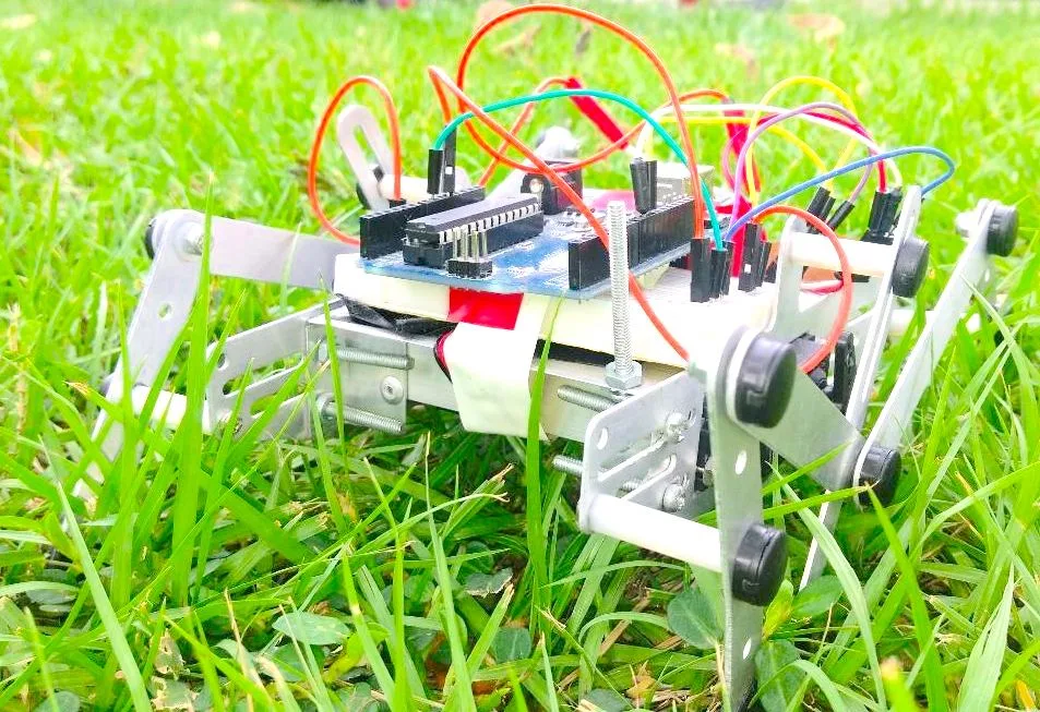 Carrera de Insectos - RoboticaXYZ